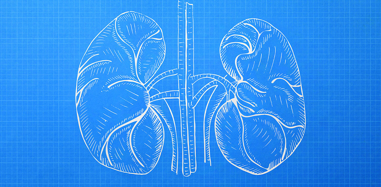 Blueprint for Treatment - UT Southwestern Medical Center